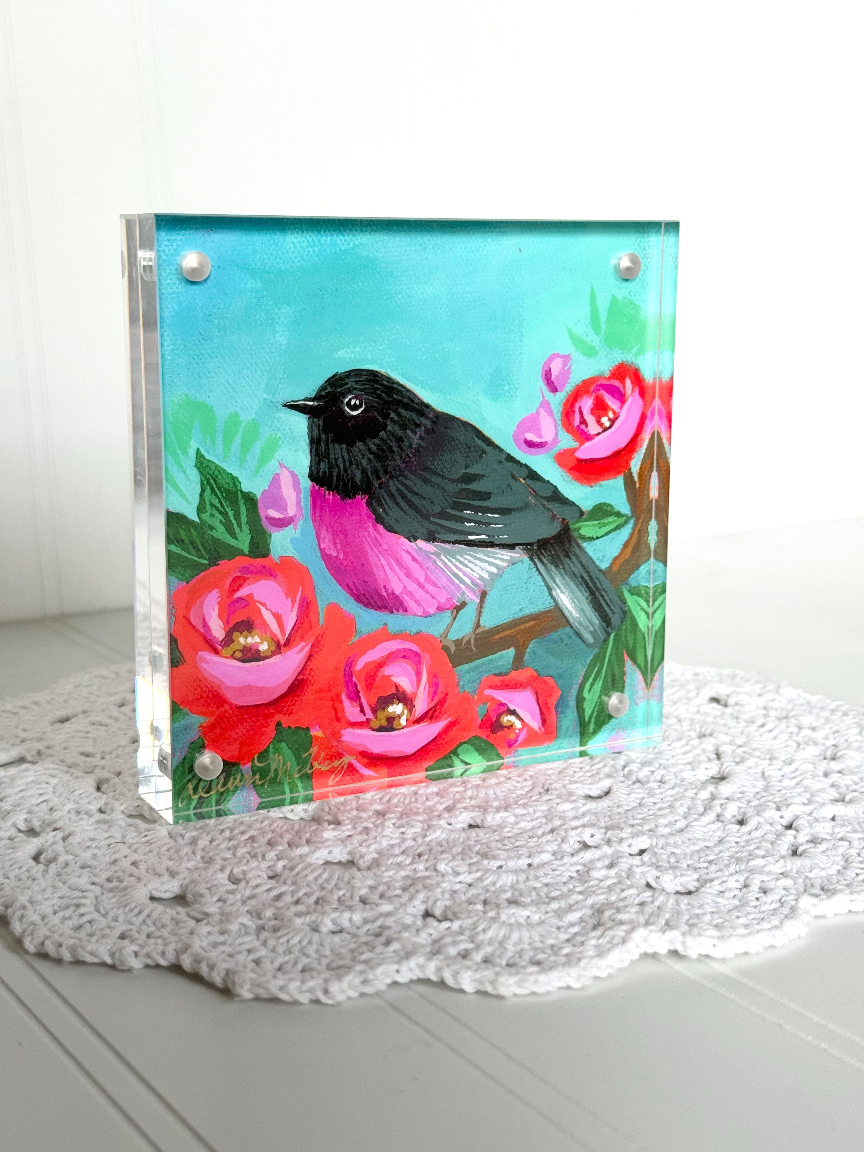 Acrylic Framed Mini Print - Australian Pink Robin – Dawn McVey Art