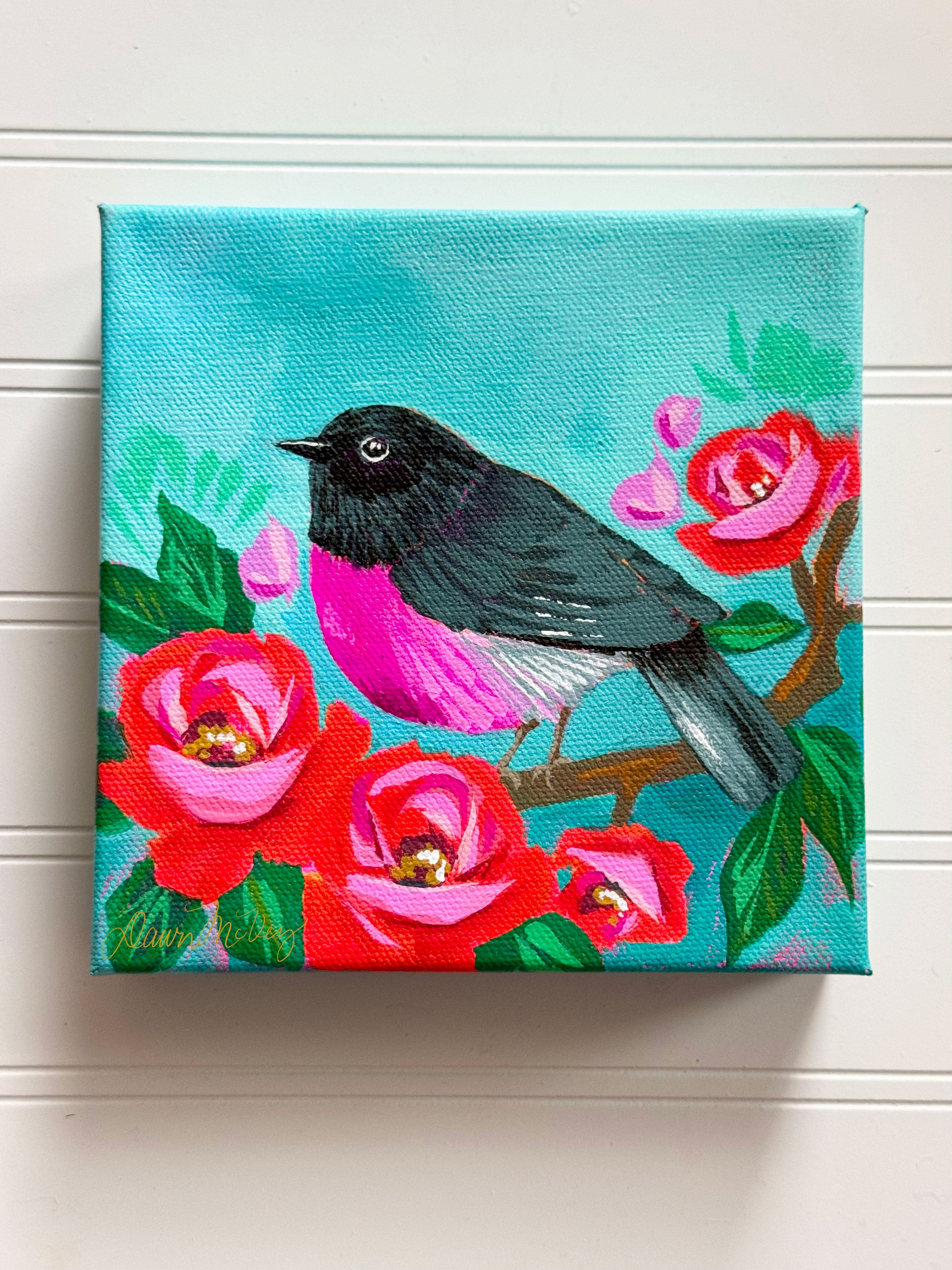 Australian Pink Robin – Dawn McVey Art